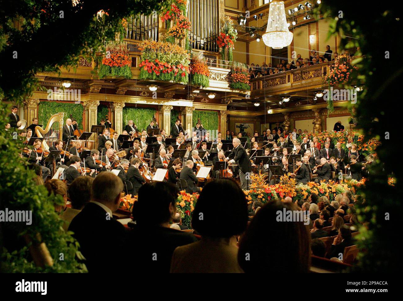 Overview of the golden hall at Vienna's Musikverein during the ...