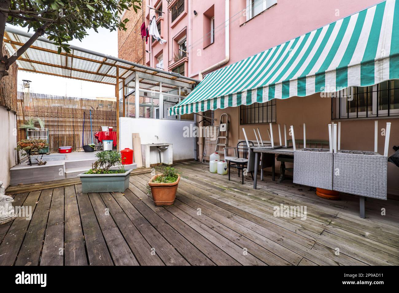 Terrace patio of a house on the ground floor with some plants and ...