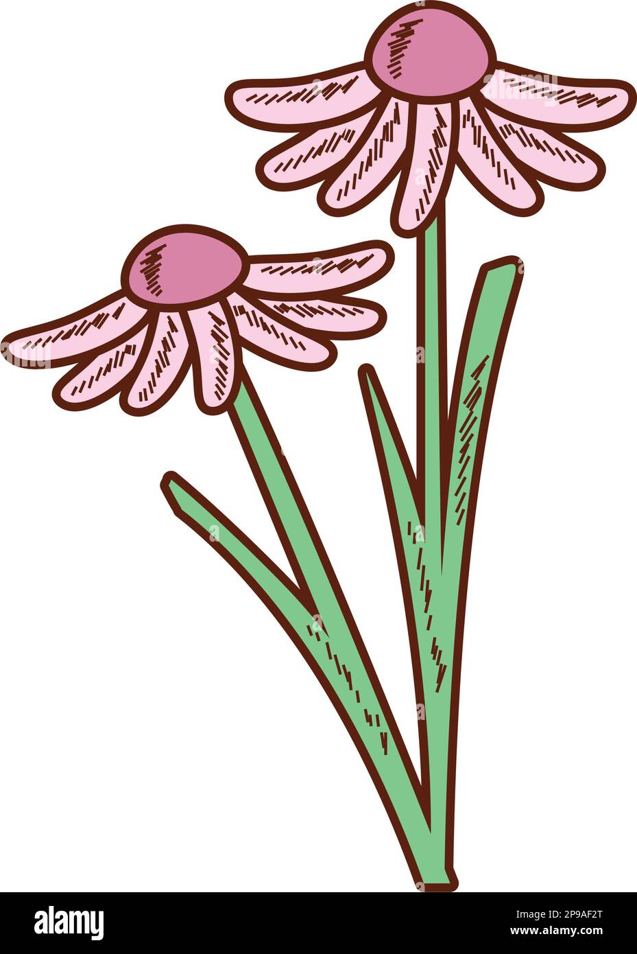 Valerian plant Stock Vector Images - Alamy