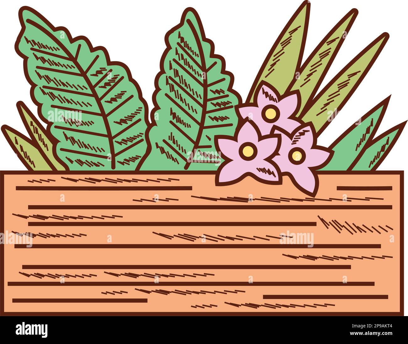 medicinal herbs icon Stock Vector Image & Art - Alamy