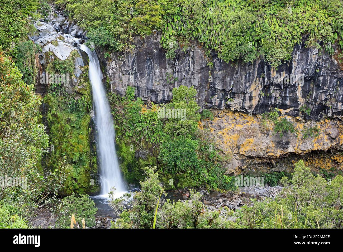Dawson falls mt taranaki hi-res stock photography and images - Alamy