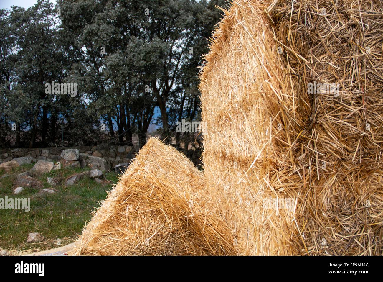 Bale hay farm farming pattern nature hi-res stock photography and ...