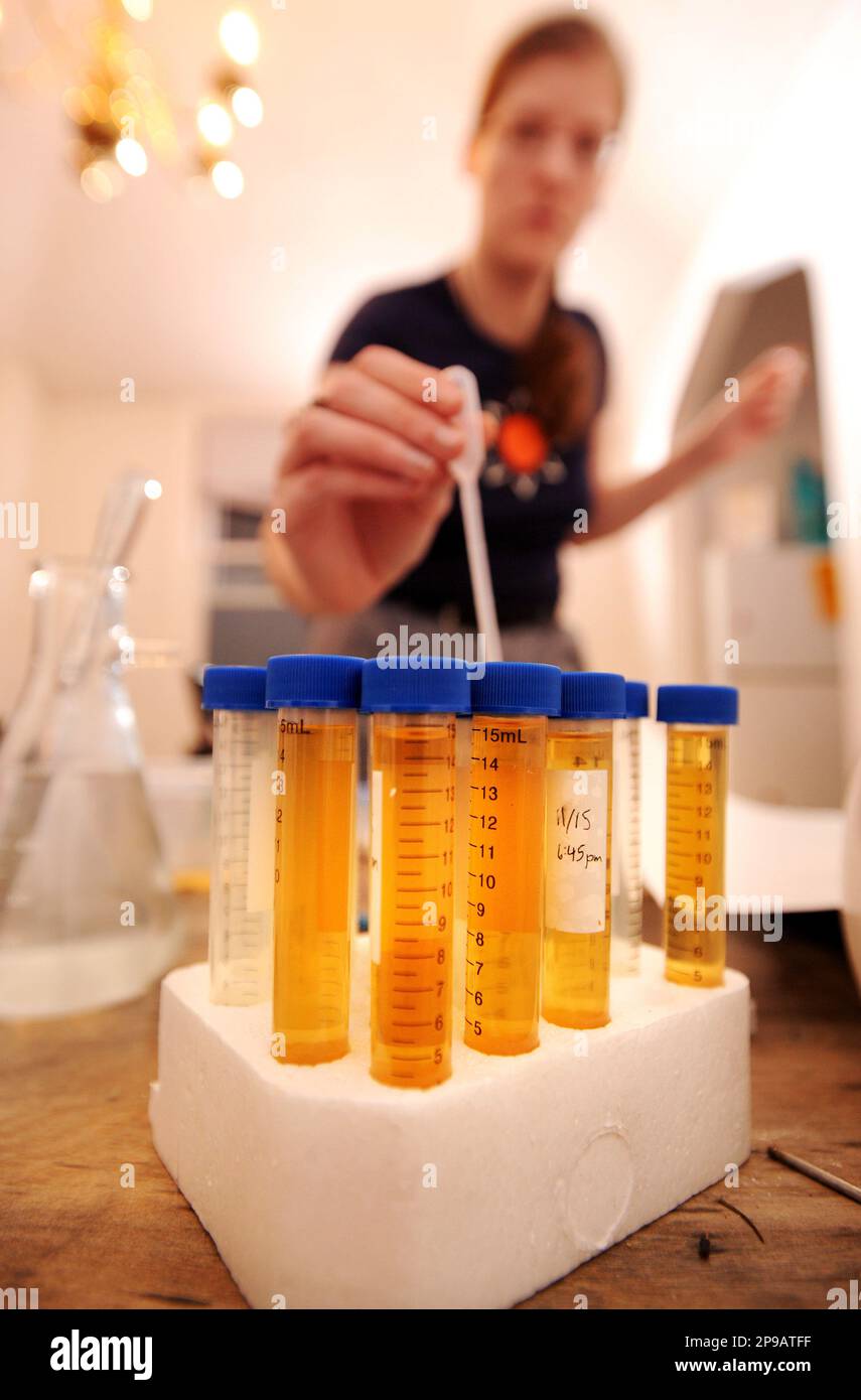 Meredith L. Patterson, a computer programmer by day, conducts an ...