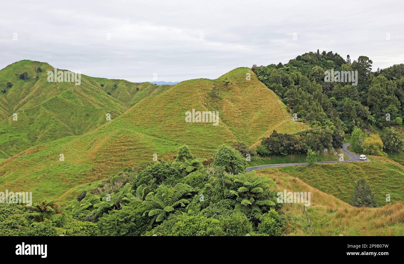 Landscape with Forgotten World Highway - New Zealand Stock Photo - Alamy