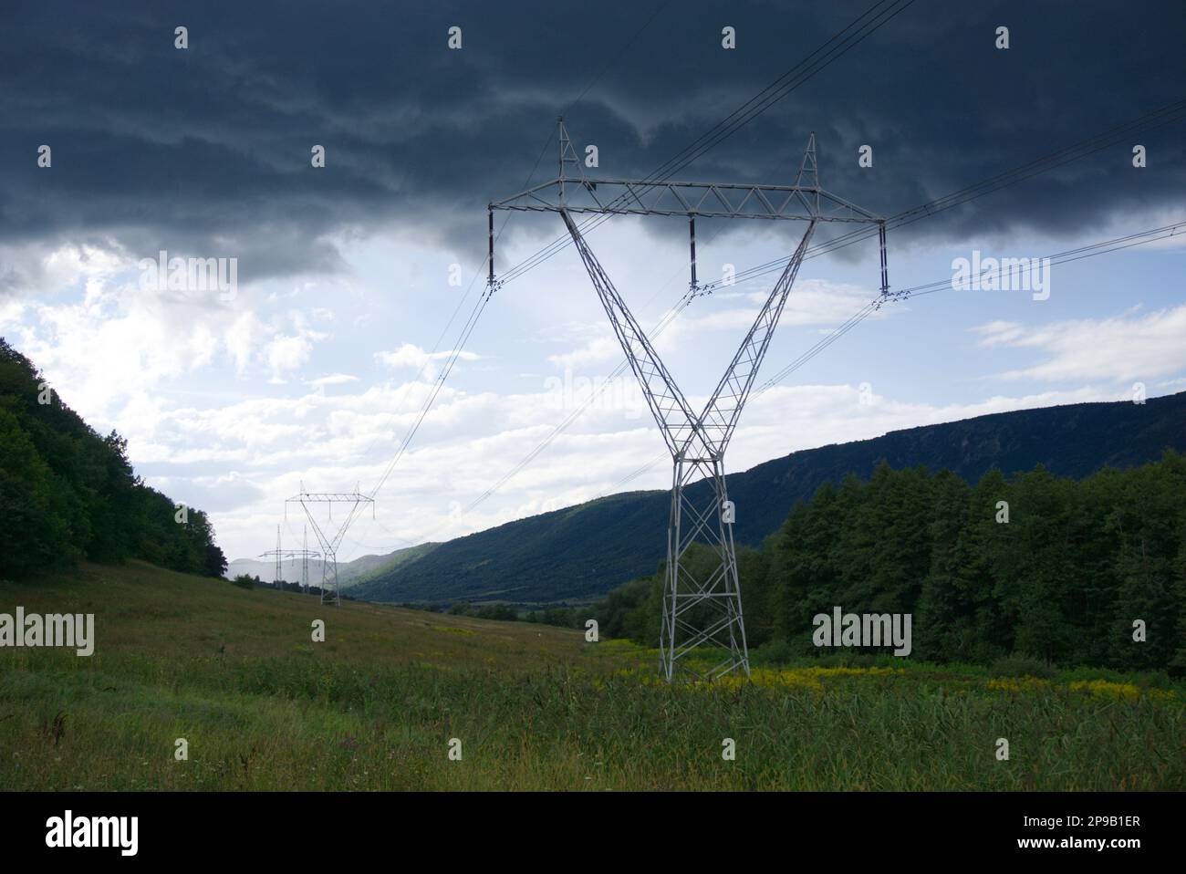 Electrical storm trees tree hi-res stock photography and images - Alamy