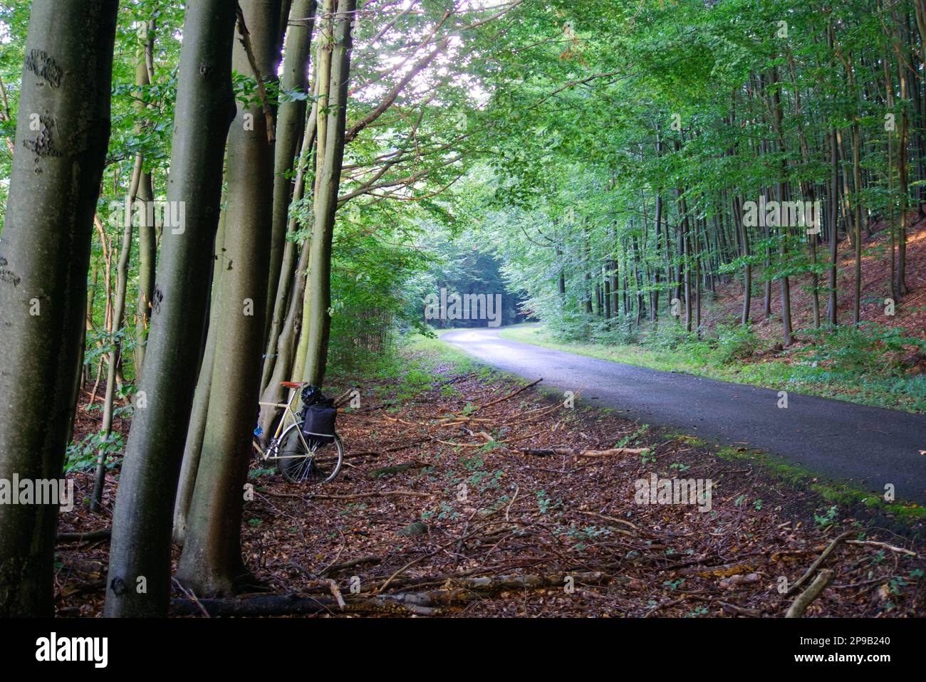 Vihorlat hi-res stock photography and images - Alamy