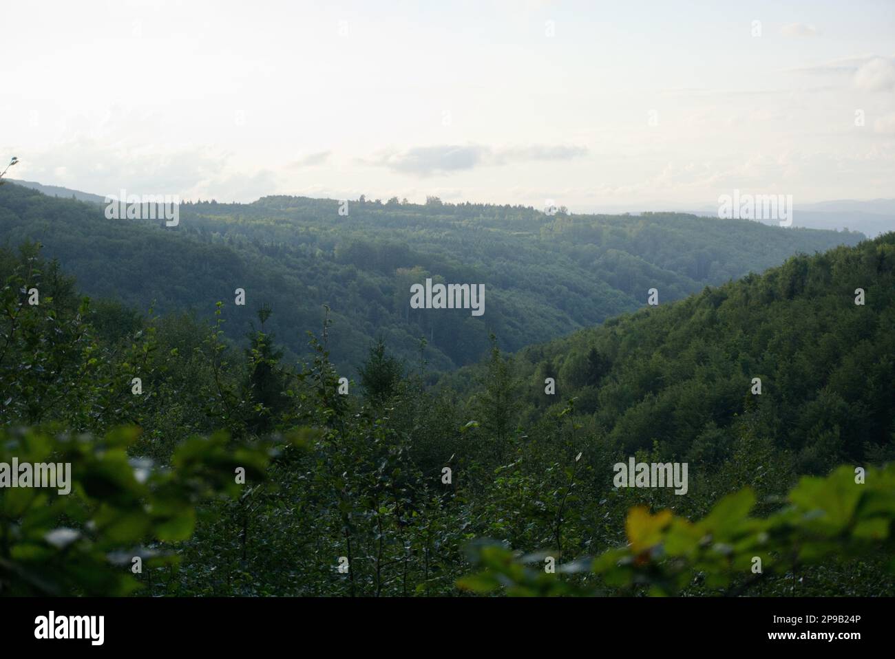 Vihorlat hi-res stock photography and images - Alamy