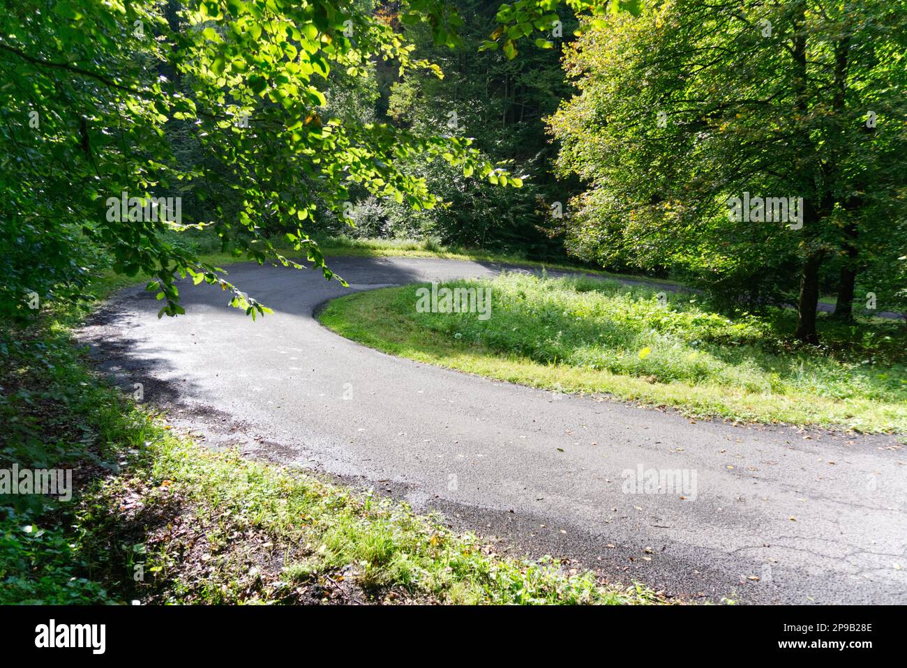 Vihorlat hi-res stock photography and images - Alamy