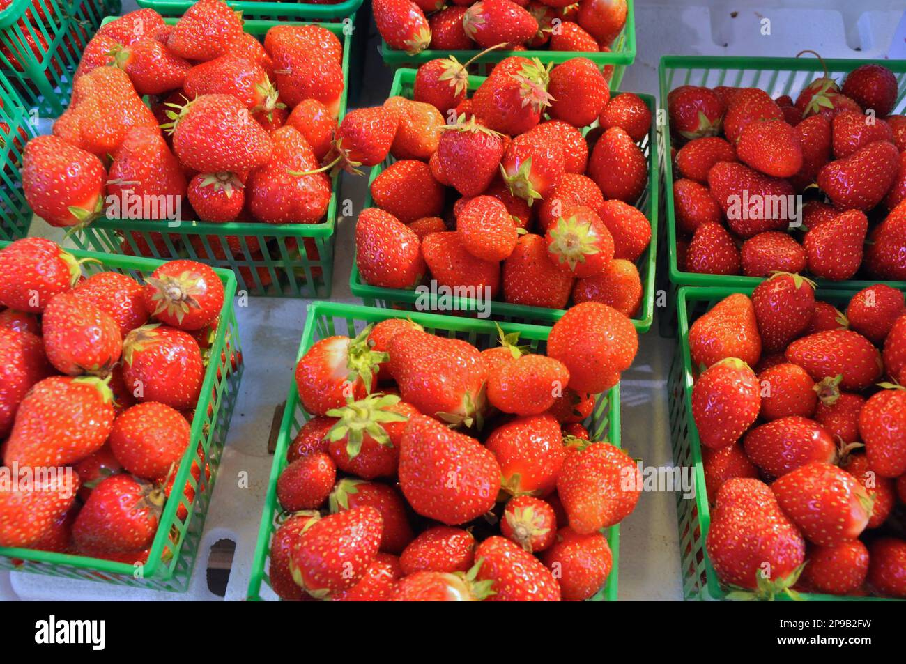 Berry perspective hi-res stock photography and images - Alamy