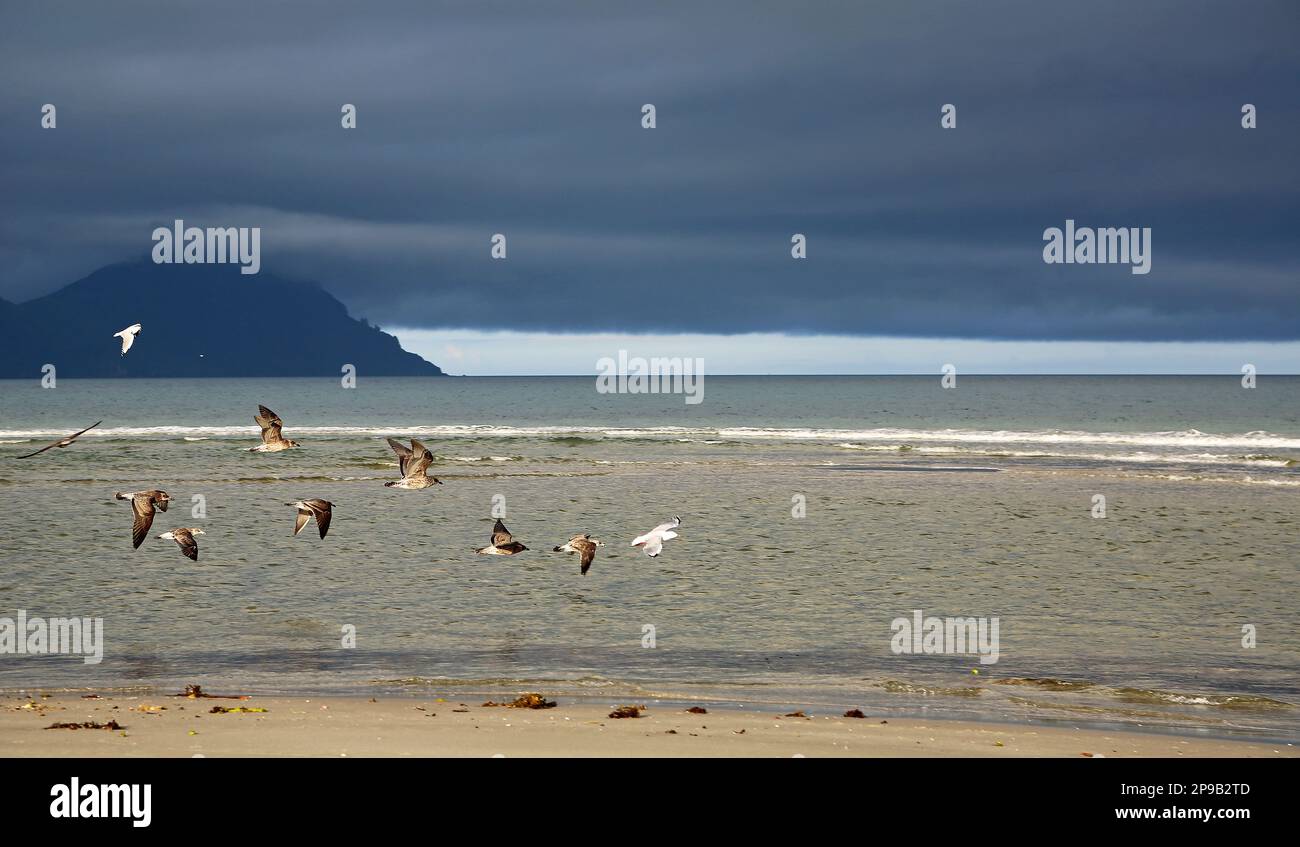 Ruakaka beach new zealand hi-res stock photography and images - Alamy