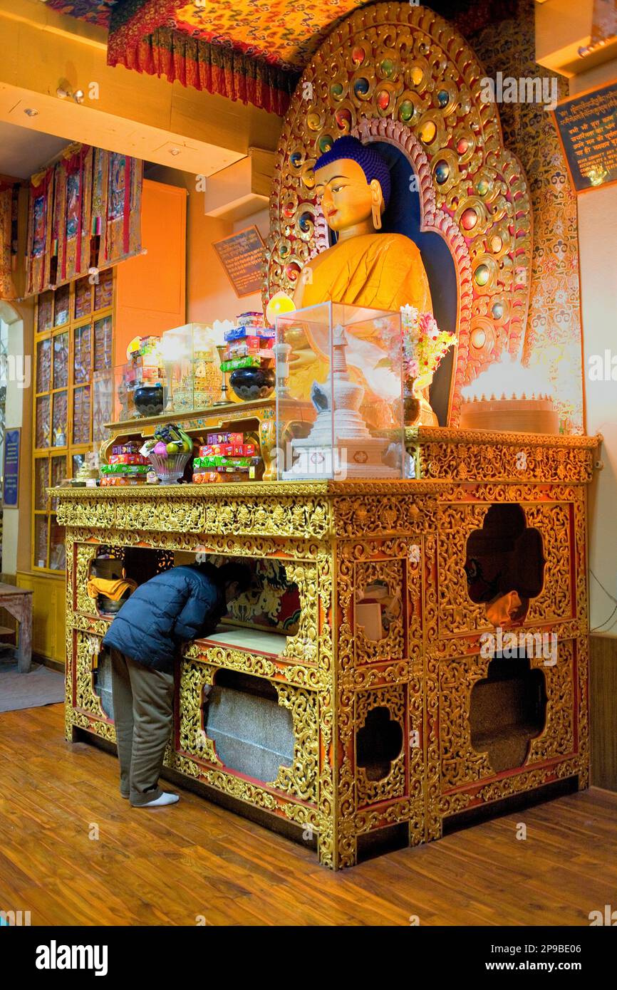 Praying, Namgyal Monastery,in Tsuglagkhang complex. McLeod Ganj ...