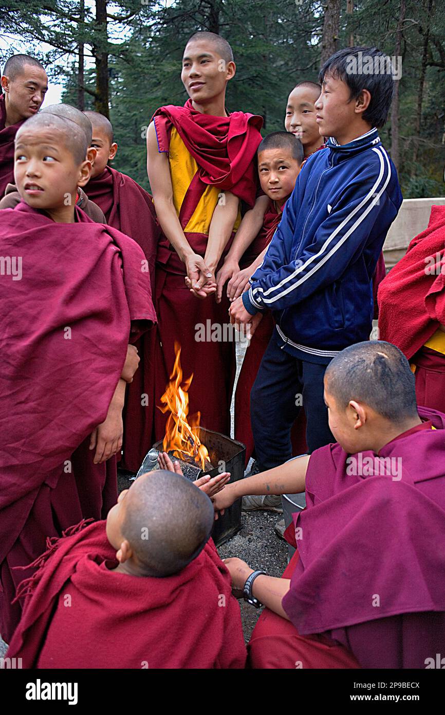 Childhood religion monk praying traditional culture hi-res stock ...
