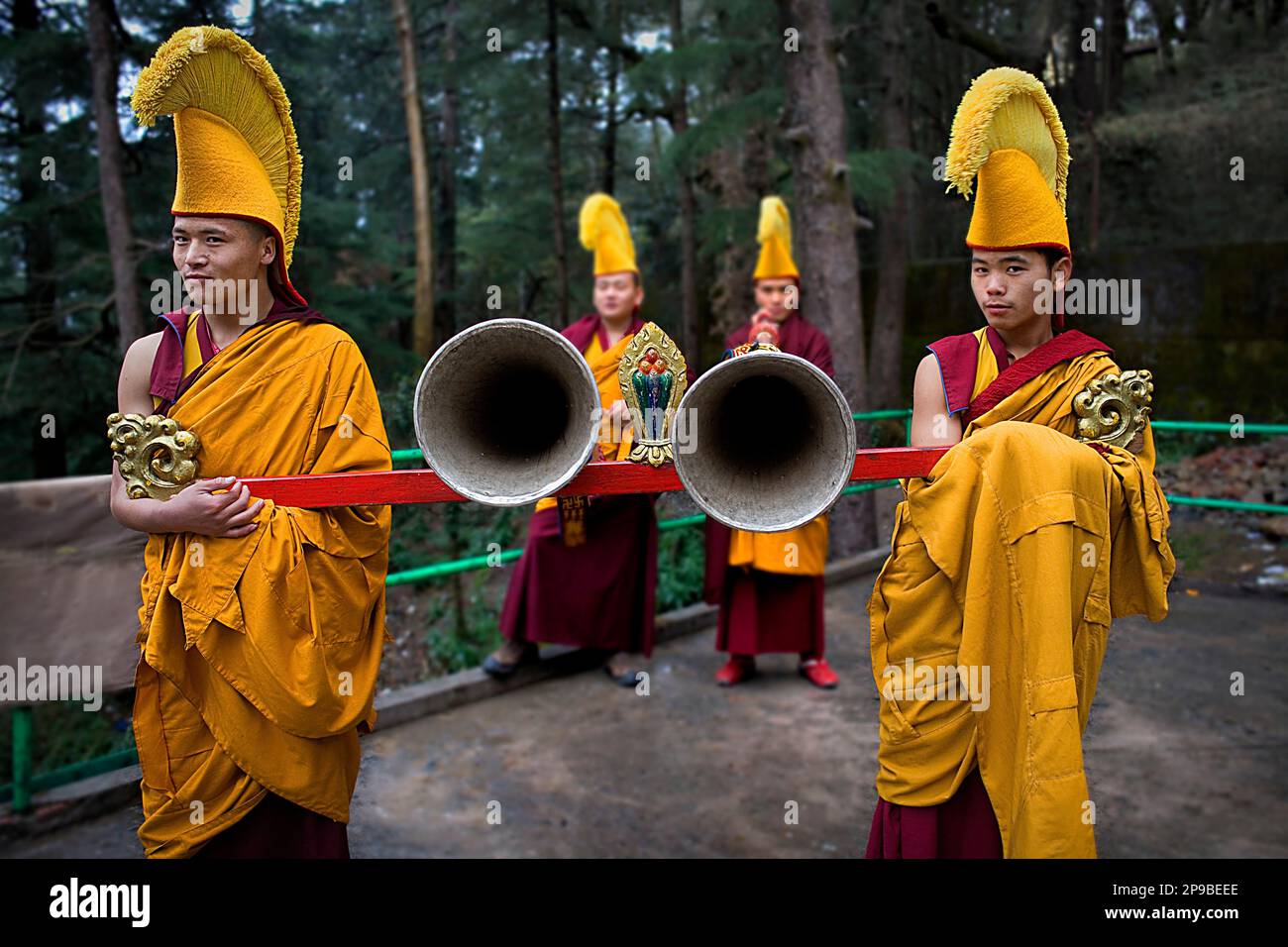 Ritual, in Namgyal Monastery,in Tsuglagkhang complex. McLeod Ganj ...