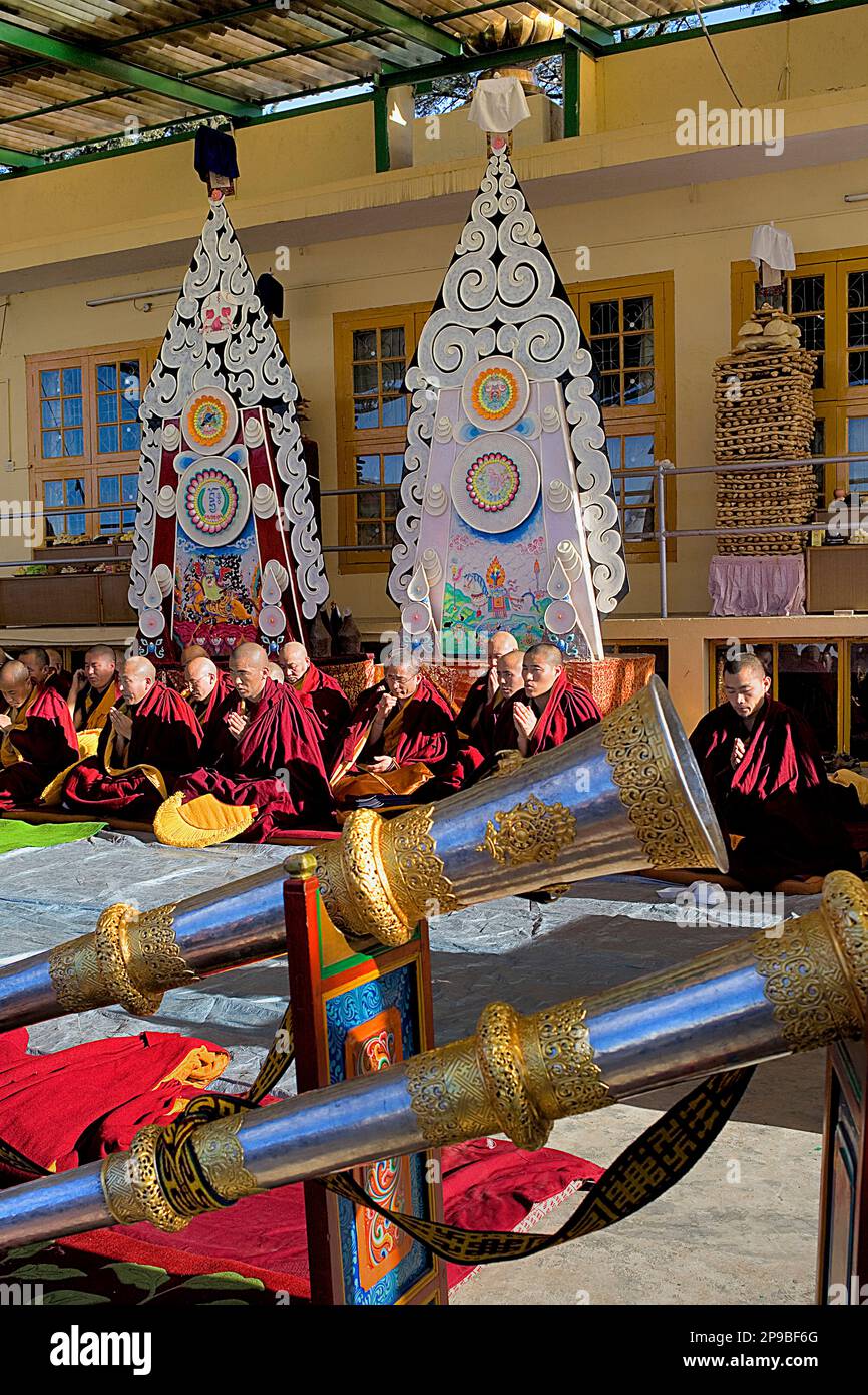 Puja,Monks praying during Losar new year, in Namgyal Monastery,in ...