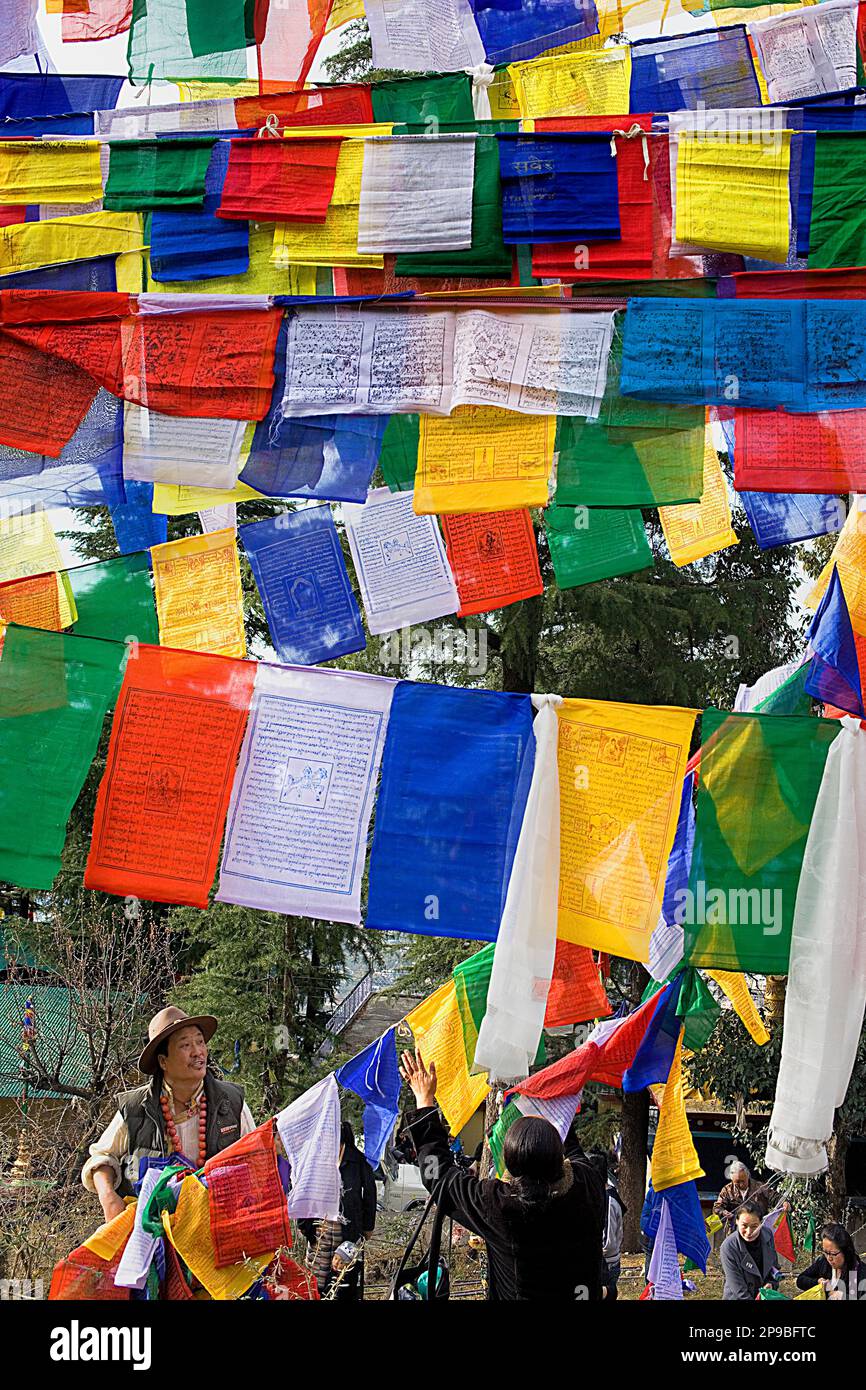 People hanging Tibetan prayer flags in Lhagyal Ri, near Tsuglagkhang ...