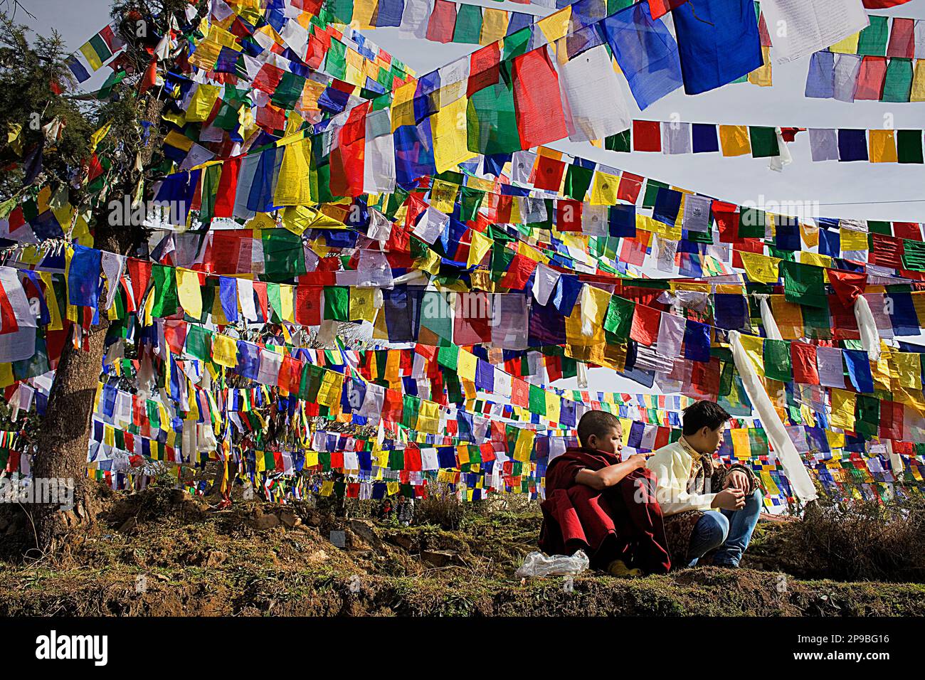 Friends, and tibetan prayer flags in Lhagyal Ri, near Tsuglagkhang ...