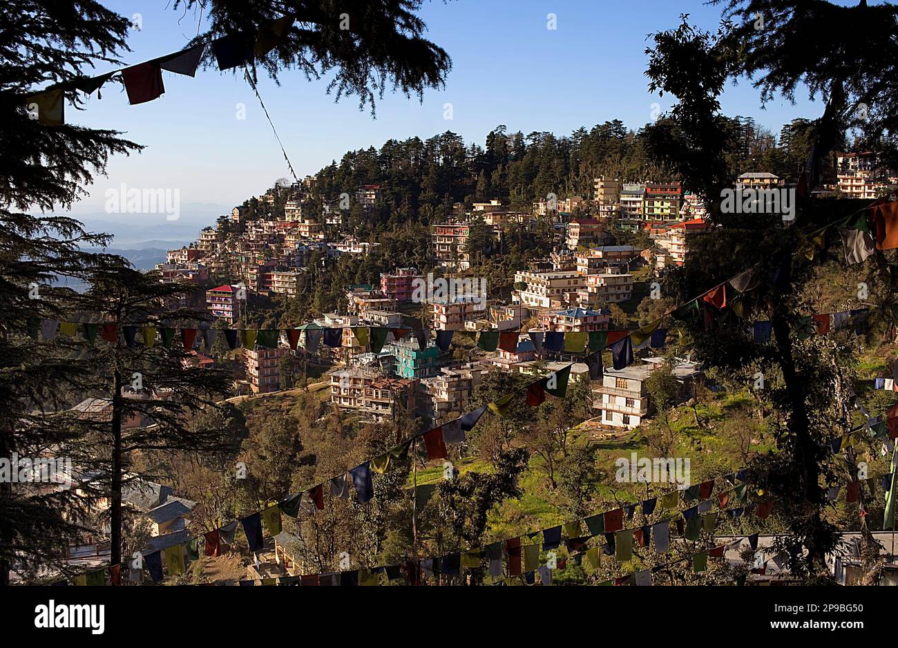 McLeod Ganj, Dharamsala, Himachal Pradesh state, India, Asia Stock ...