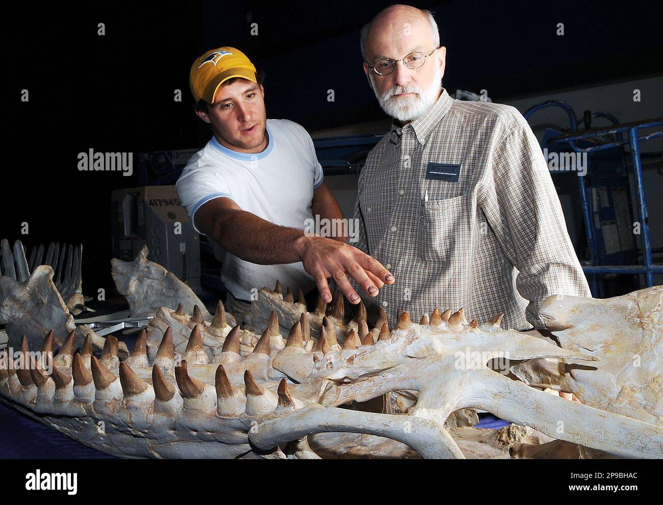 Paleoartist Kenneth Fish, left, with Triebold Paleontology Inc ...