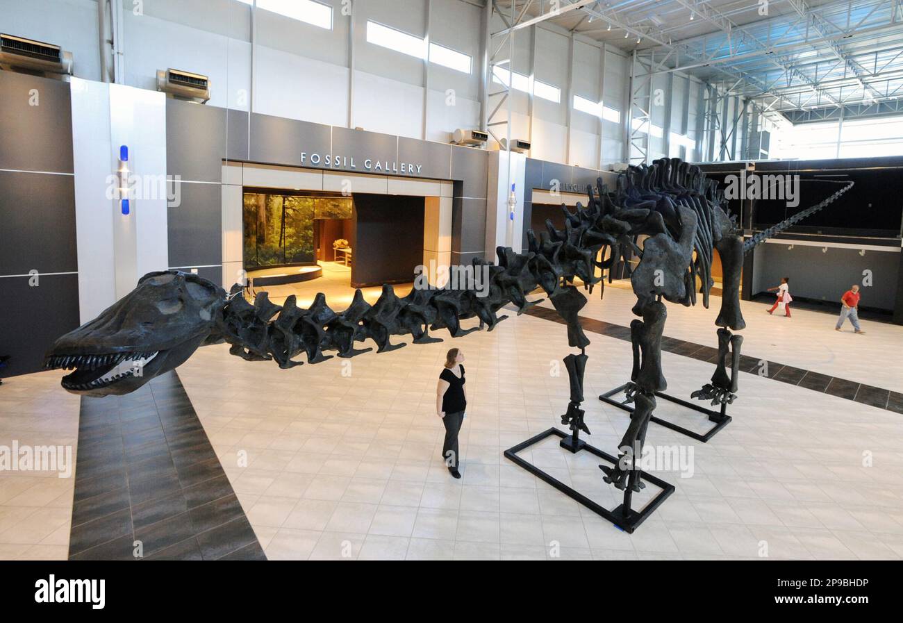 When Tellus Northwest Georgia Science Museum opens Jan. 12, visitors ...