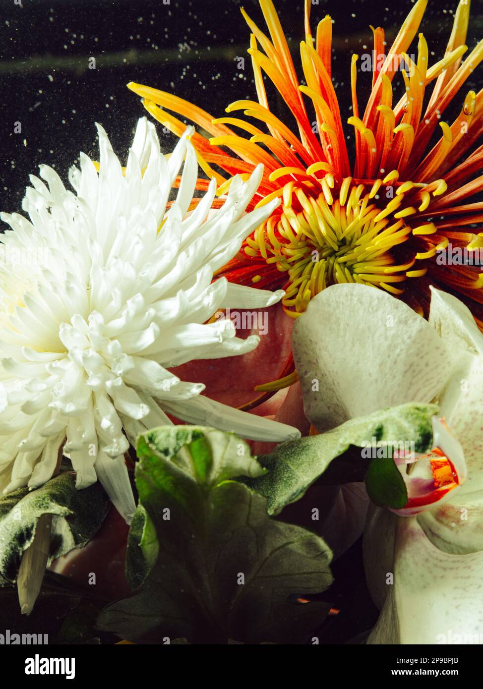 Flower Bouquet underwater Stock Photo - Alamy