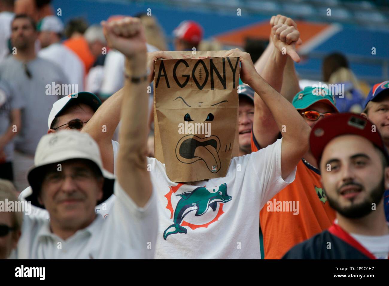 ** FILE ** this nov. 11, 2007 file photo shows a Miami Dolphins fan ...