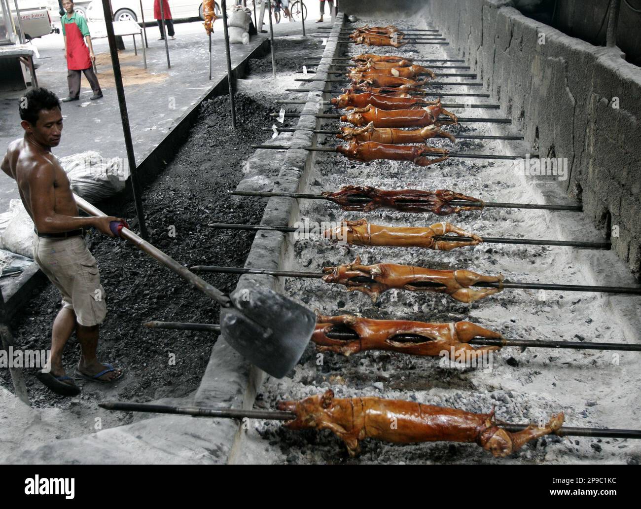 A worker roasts a row of pigs locally known as "lechon" at a roast pig ...