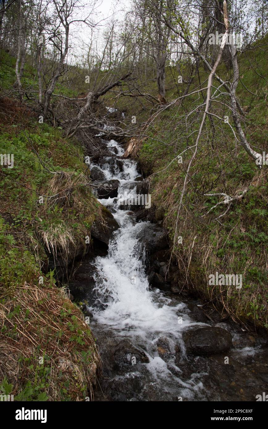 Svartisen saltfjellet national park svartisen saltfjellet nationalpark ...