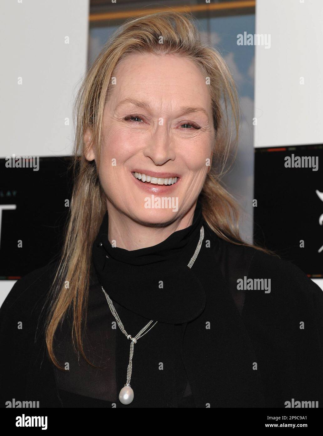 Actress Meryl Streep attends a premiere for 'Doubt' at the Paris ...