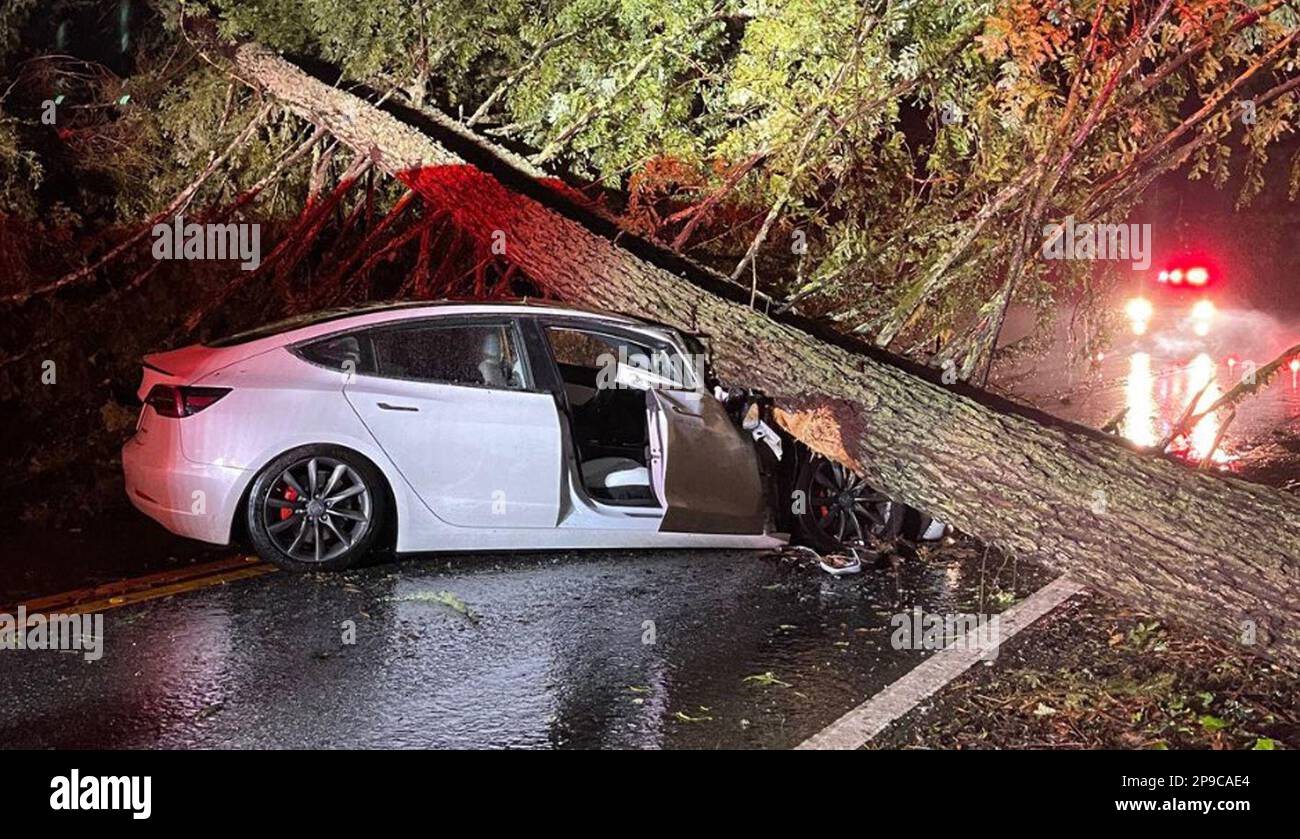 Redwood City, California, USA. 9th Mar, 2023. A tree fell onto a Tesla ...
