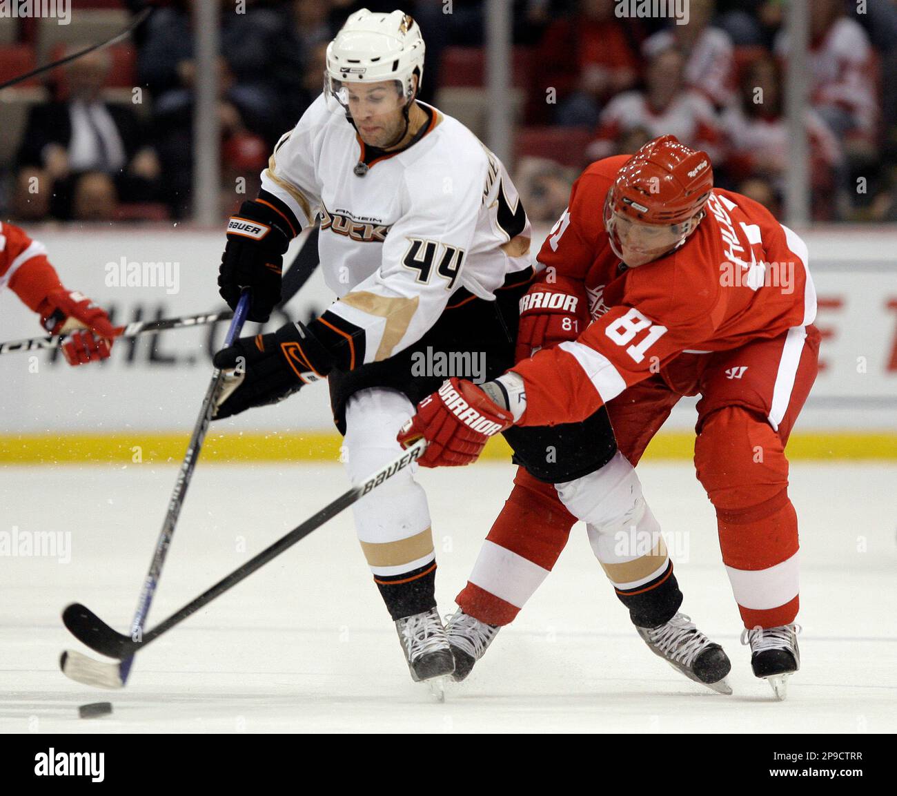 Anaheim Ducks' Rob Niedermayer (44) and Detroit Red Wings' Marian Hossa ...