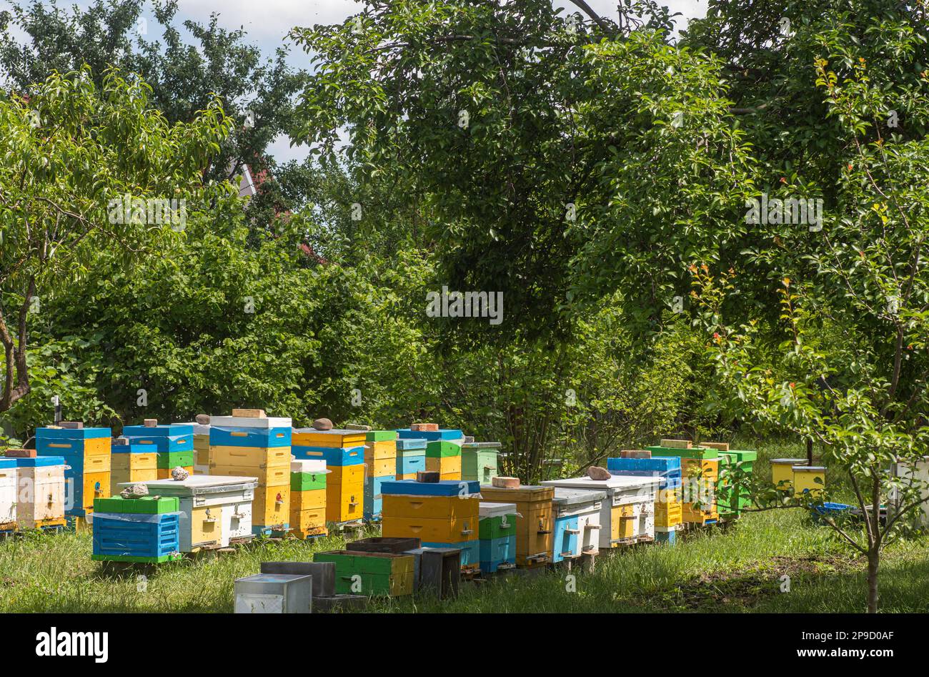 Beehive beekeeping beekeepers house hi-res stock photography and images ...