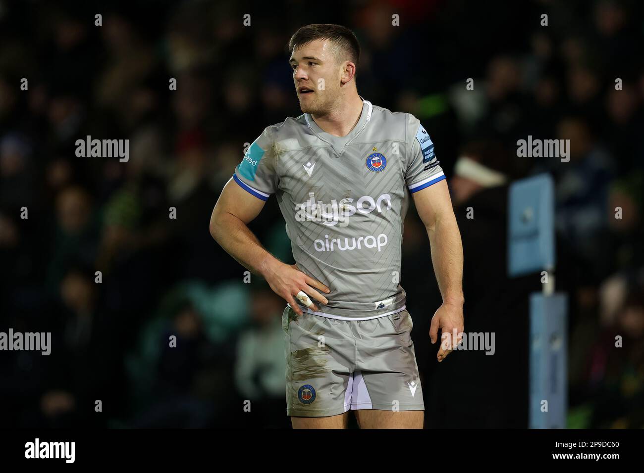 Franklins gardens hi-res stock photography and images - Alamy