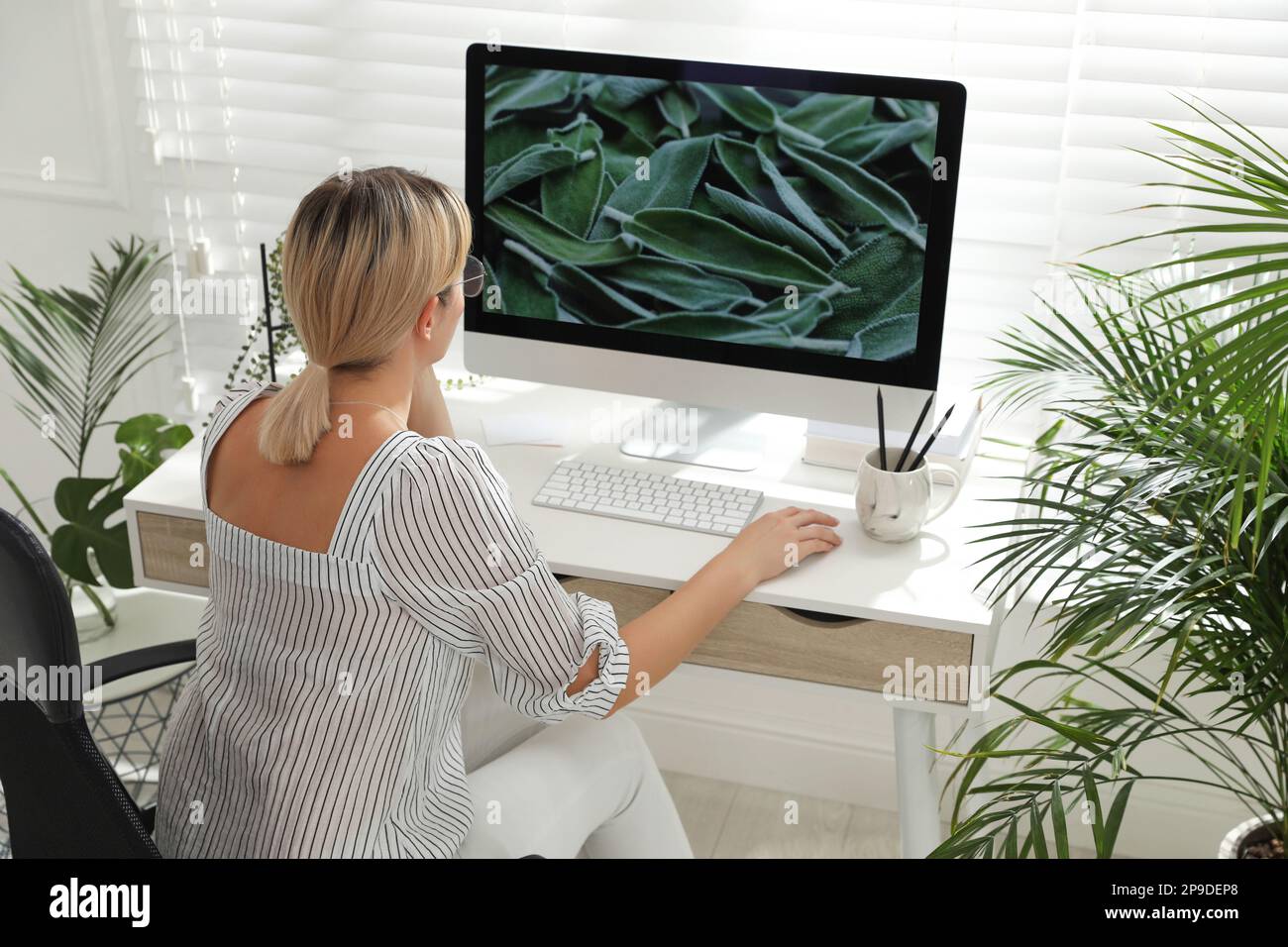 Woman working on computer at table in room, back view. Interior design ...