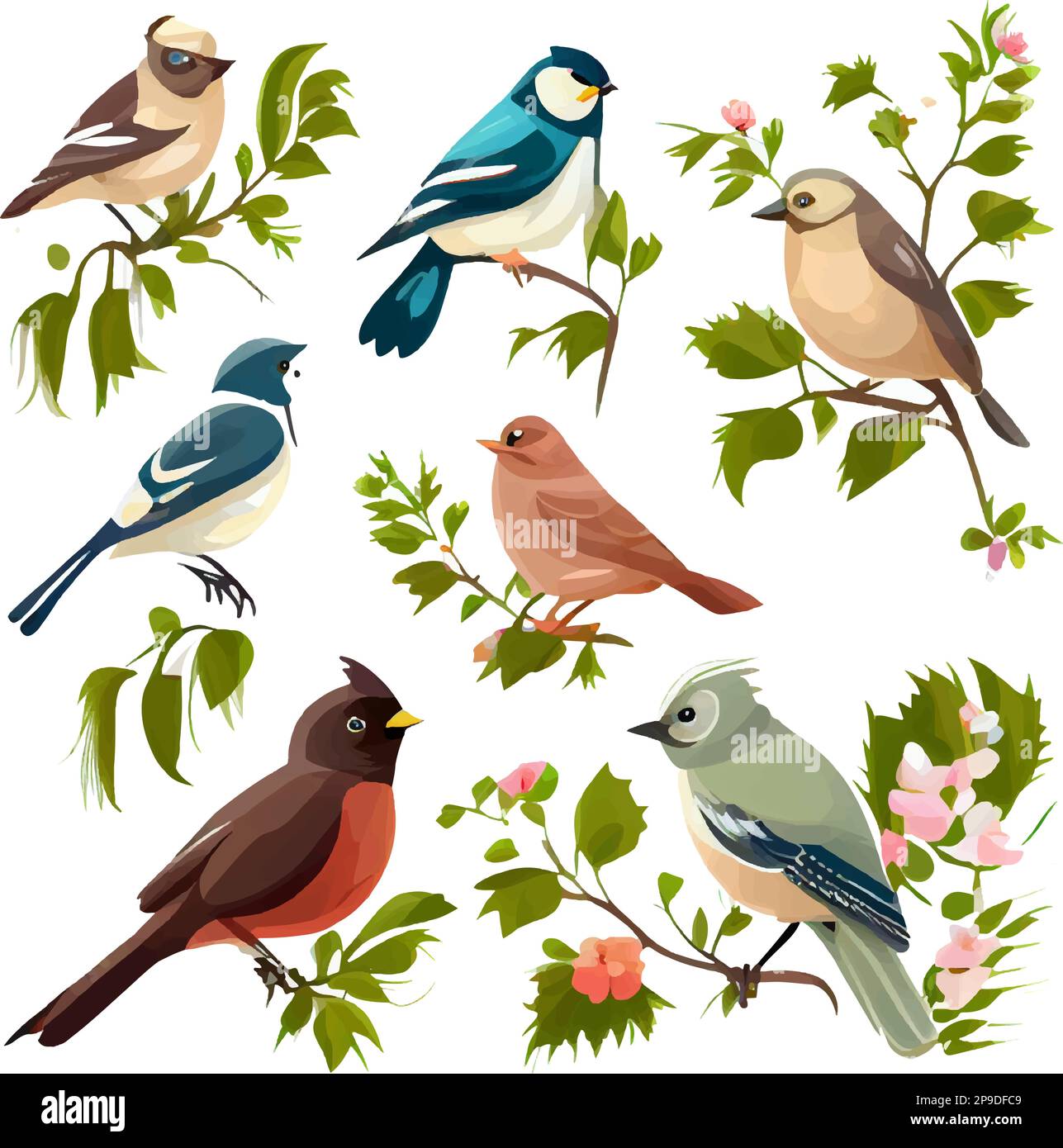 set vector illustration of bird isolation on white background Stock ...