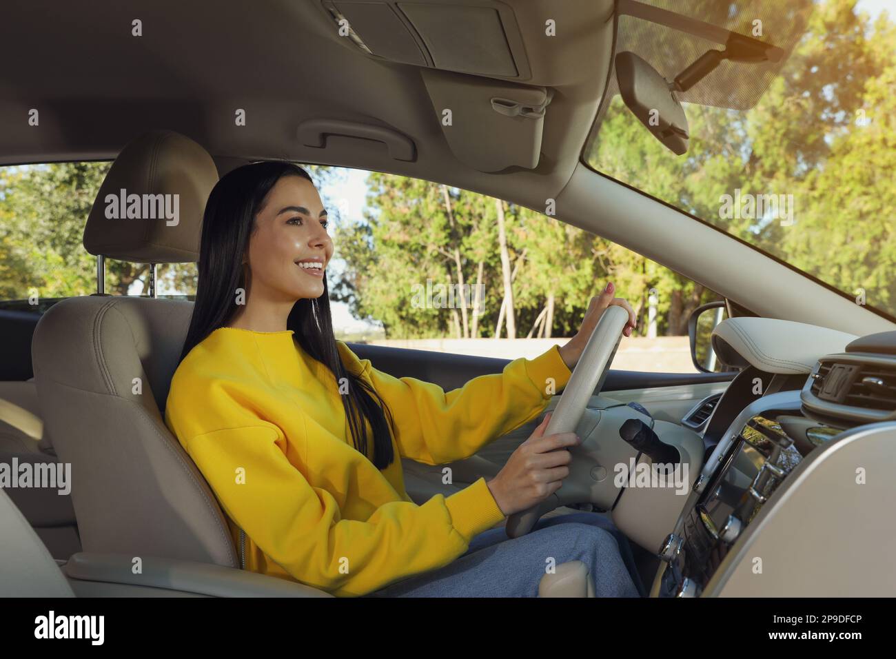 Beautiful young driver sitting in modern car Stock Photo - Alamy