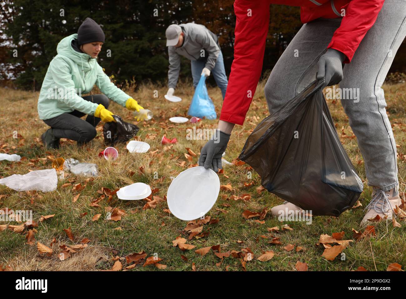 People with trash bags collecting garbage in nature, closeup Stock ...