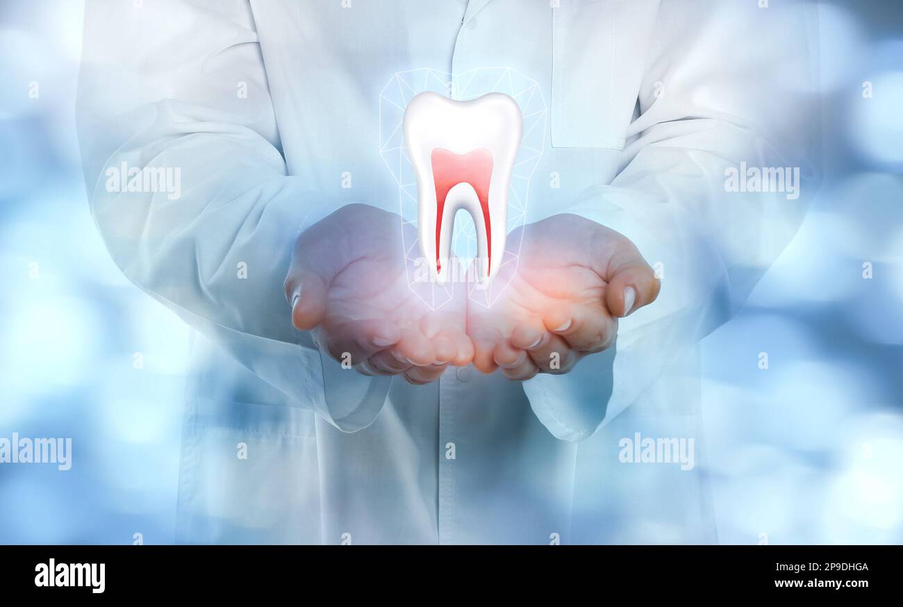 Dentist showing virtual model of tooth on blurred background, closeup ...