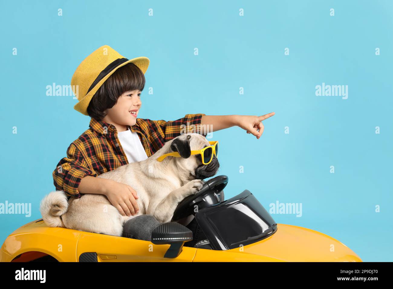 Little boy with his dog in toy car on light blue background Stock Photo ...