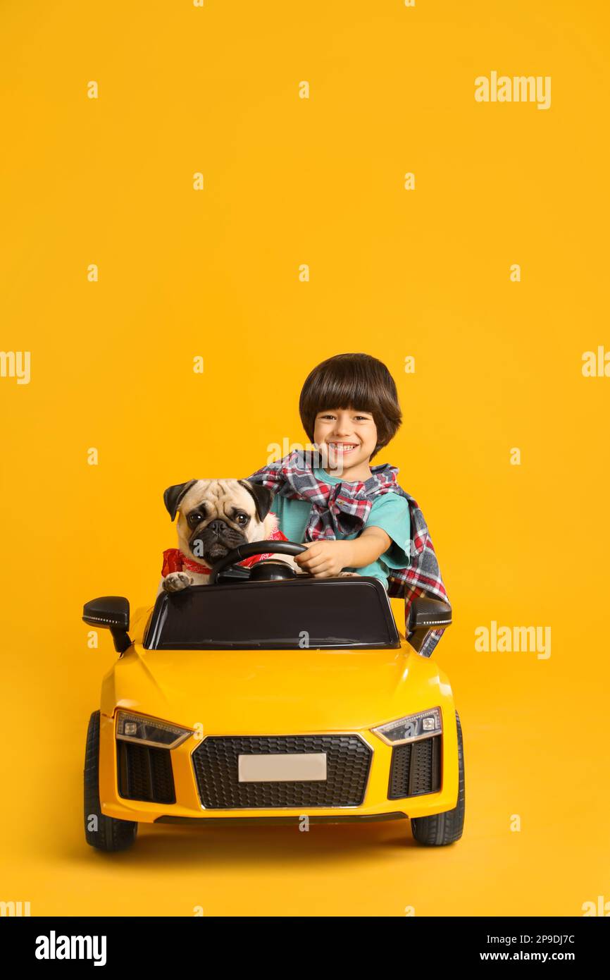 Little boy with his dog in toy car on yellow background Stock Photo - Alamy