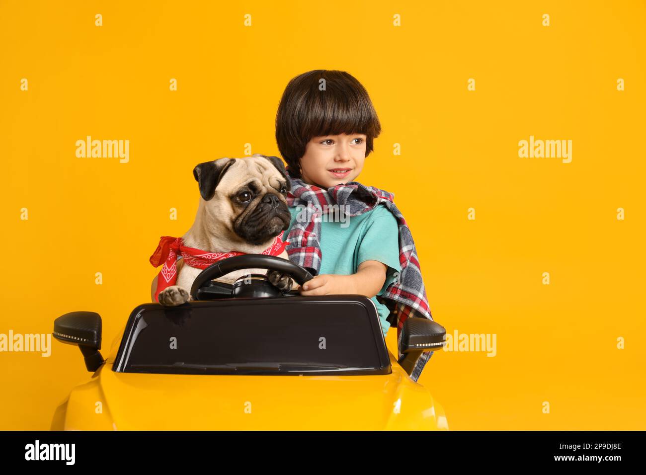 Little boy with his dog in toy car on yellow background Stock Photo - Alamy