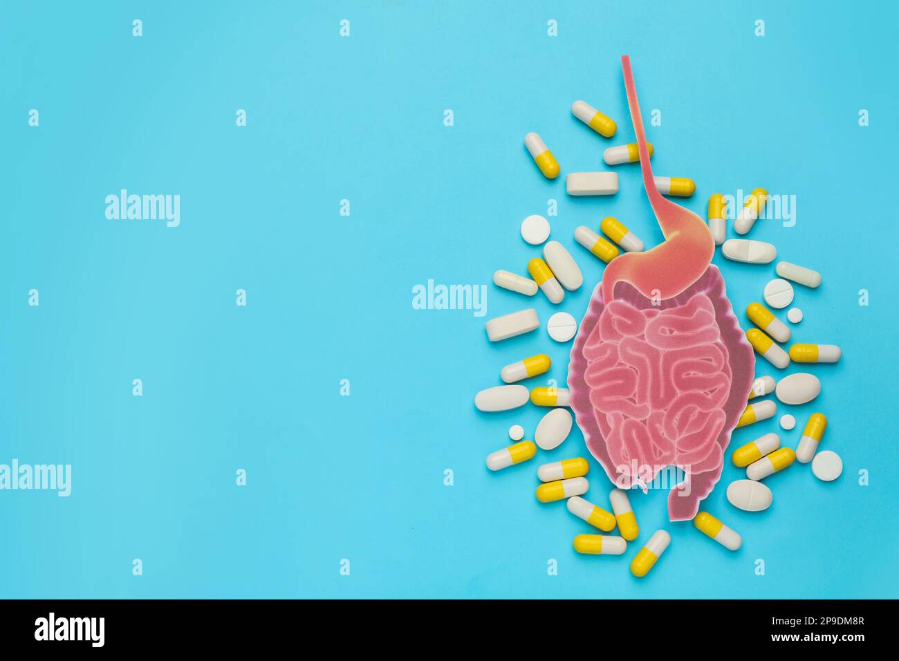 Paper cutout of small intestine and pills on turquoise background, flat ...