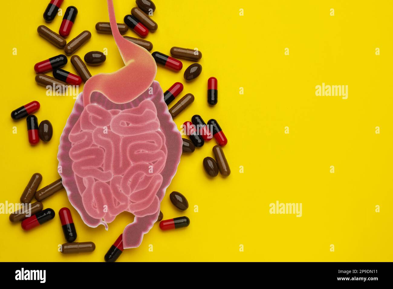 Paper cutout of small intestine and pills on yellow background, flat ...