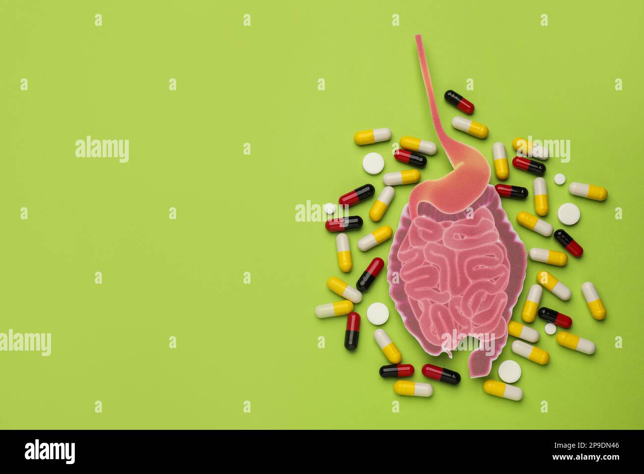 Paper cutout of small intestine and pills on light green background ...