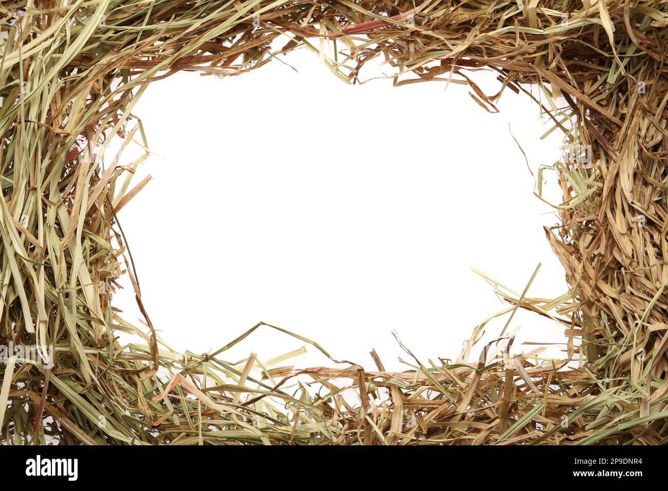 Frame made of dried hay on white background, top view. Space for text ...
