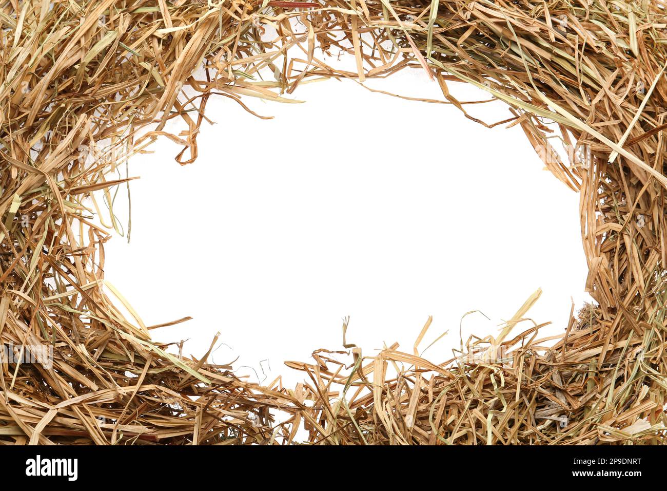 Frame made of dried hay on white background, top view. Space for text ...