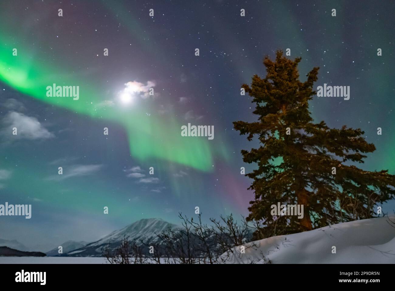 Astonishing, amazing northern lights aurora borealis seen in Yukon ...