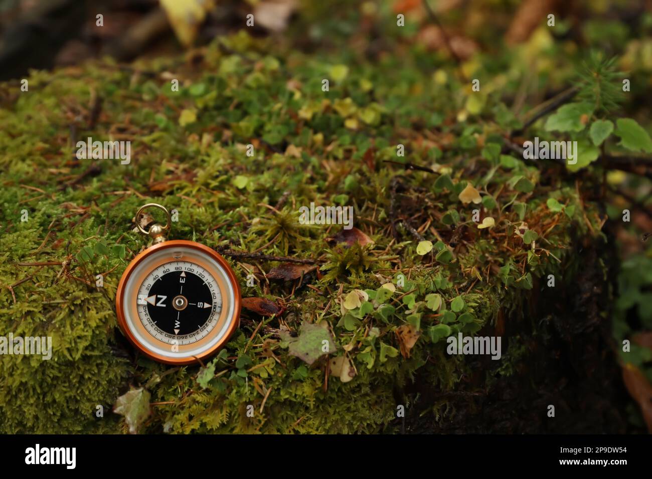 Modern day magnetic compass hi-res stock photography and images - Alamy