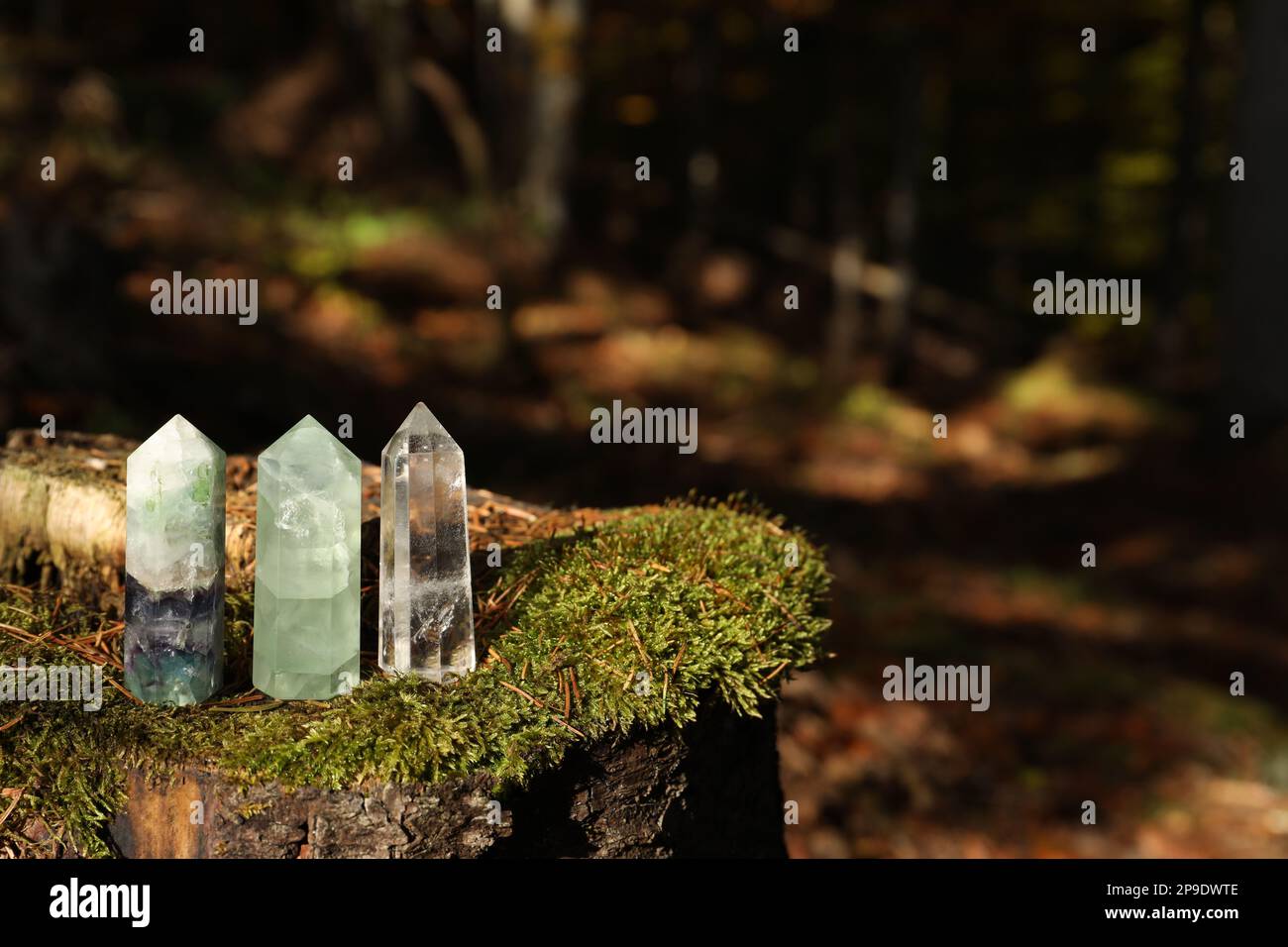 Transparent quartz in forest hi-res stock photography and images - Alamy
