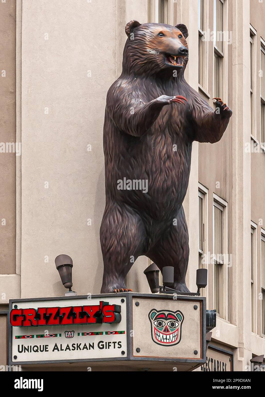 Anchorage, Alaska, USA - July 23, 2011: Brown aggressive Grizzly bear ...