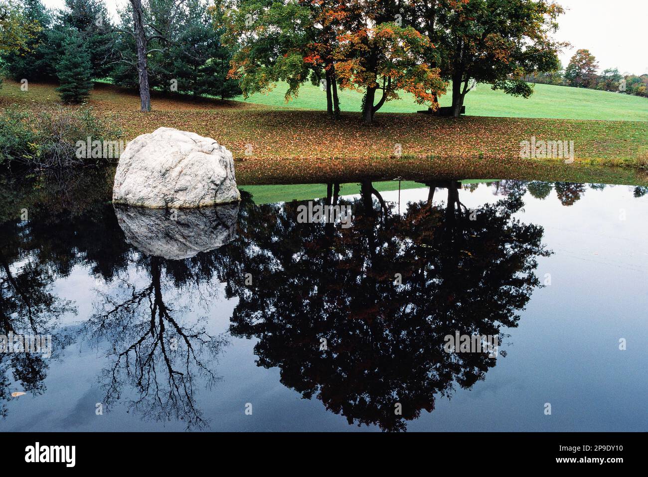Pond by grassy meadow acts as a mirror for white boulder and trees with ...